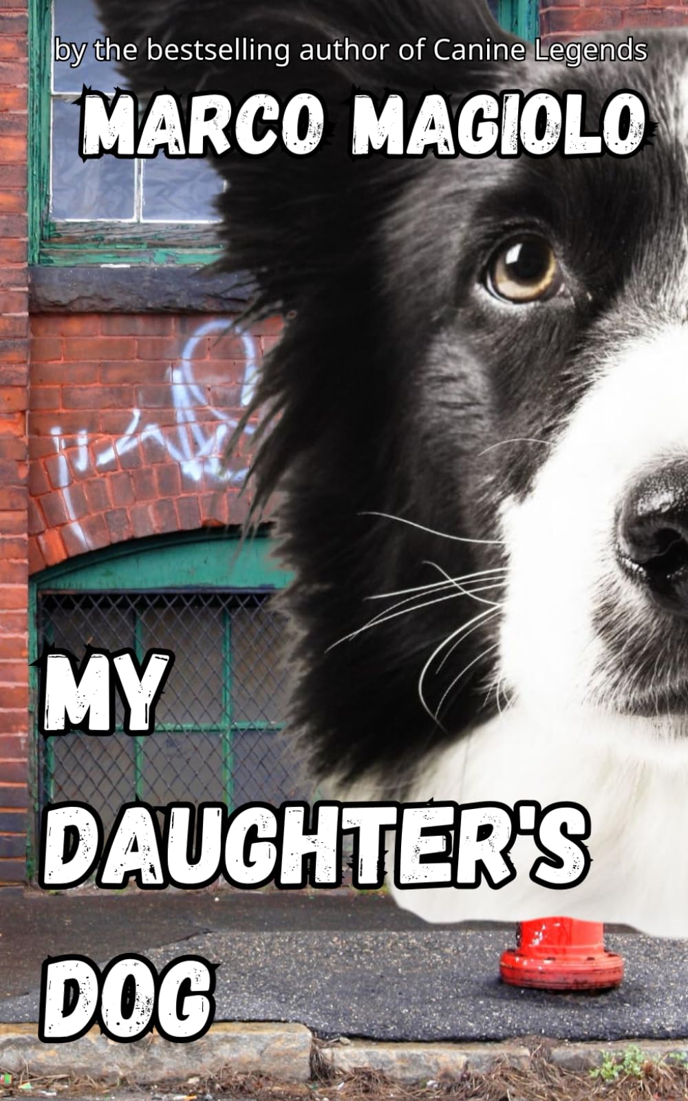 Amazon.com: My Daughter's Dog: 9798852183644: Magiolo, Marco: Books