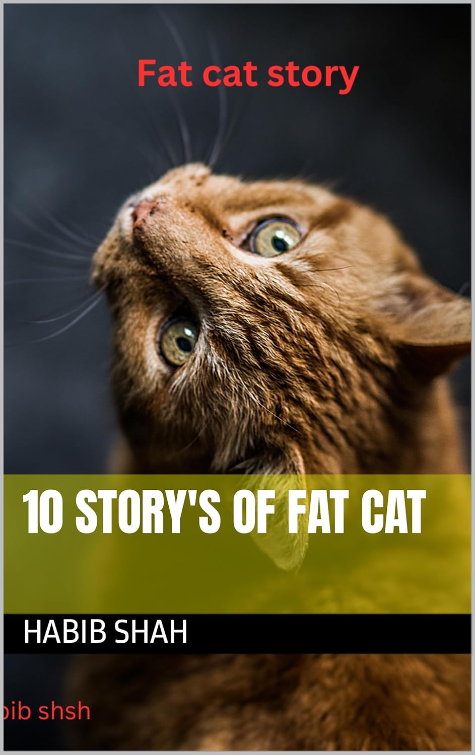 10 storys fat cat eBook : Shah, Habib: Amazon.in: Kindle Store