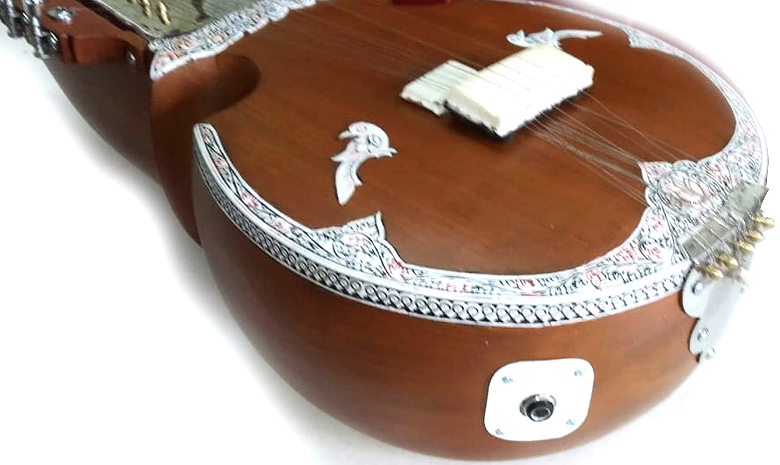 Electric Sarod
