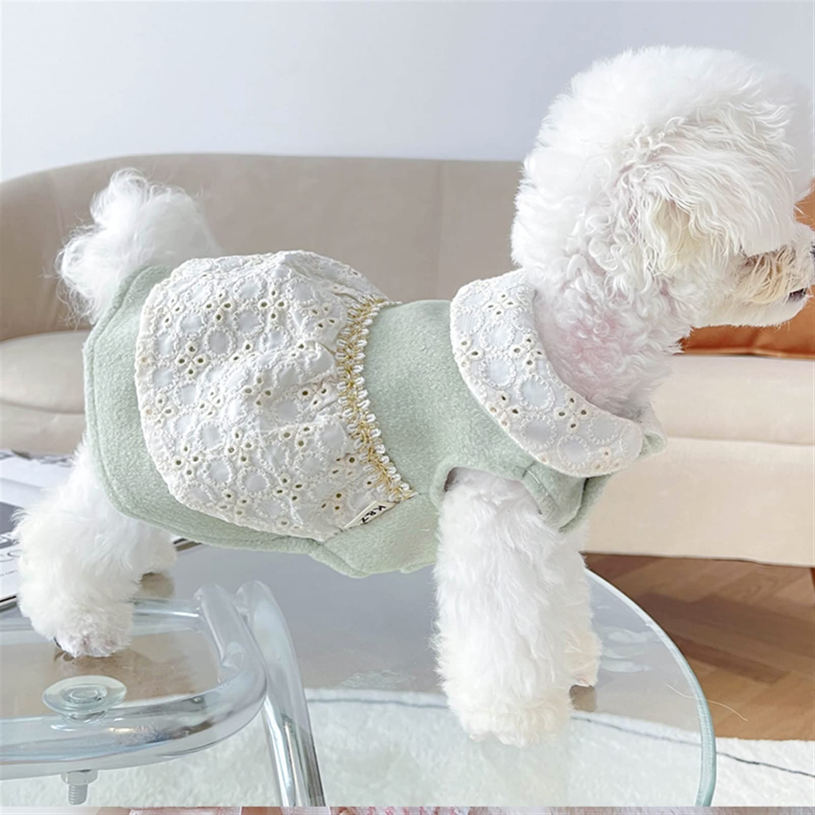 Micro Macho Tzu Winter Small Dog Princess Dress For Pet Clothes Cats