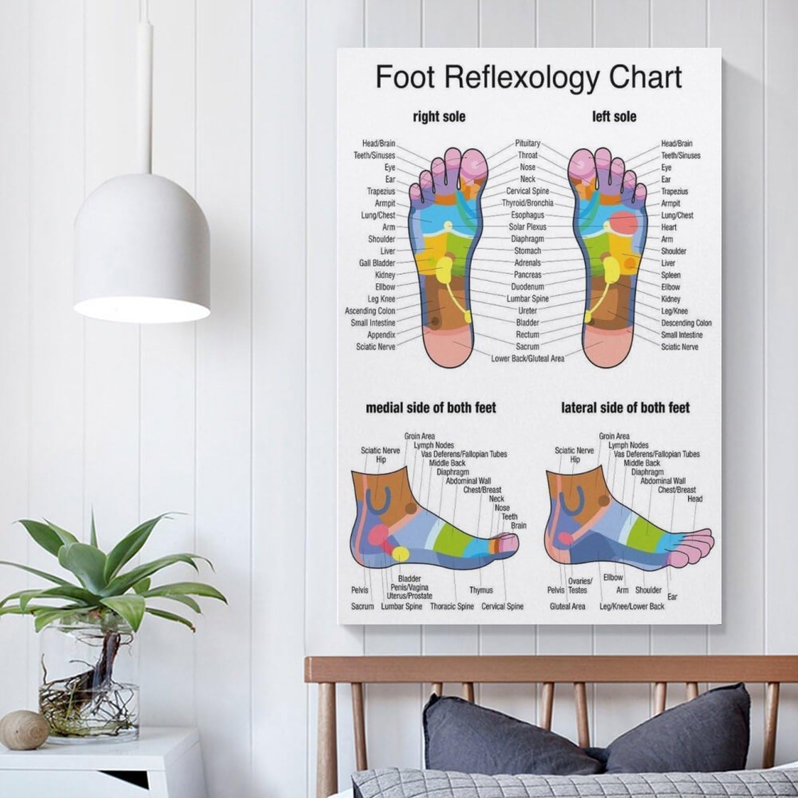 Prostate Reflexology Foot Chart Reflexology Foot Chart Stock