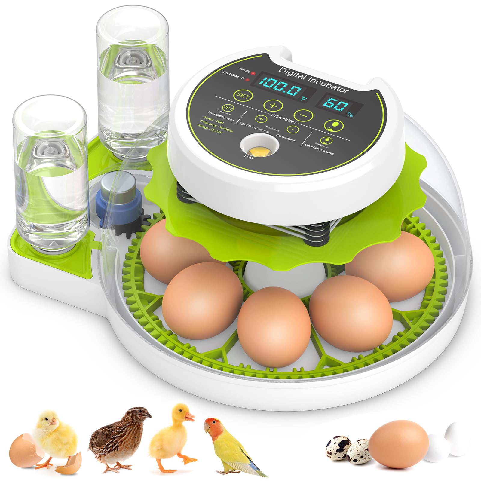 Egg Incubator with Automatic Egg Turning and Humidity Control, Chicken ...