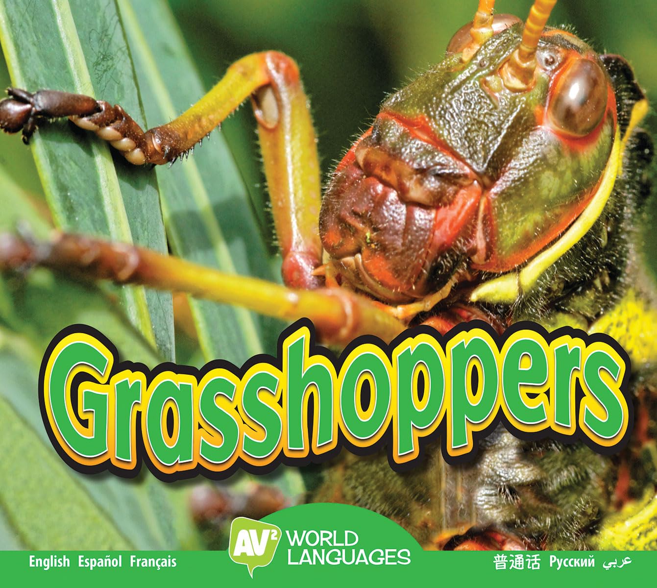 Grasshoppers (World Languages): Carr, Aaron: 9781489665560: Amazon.com ...