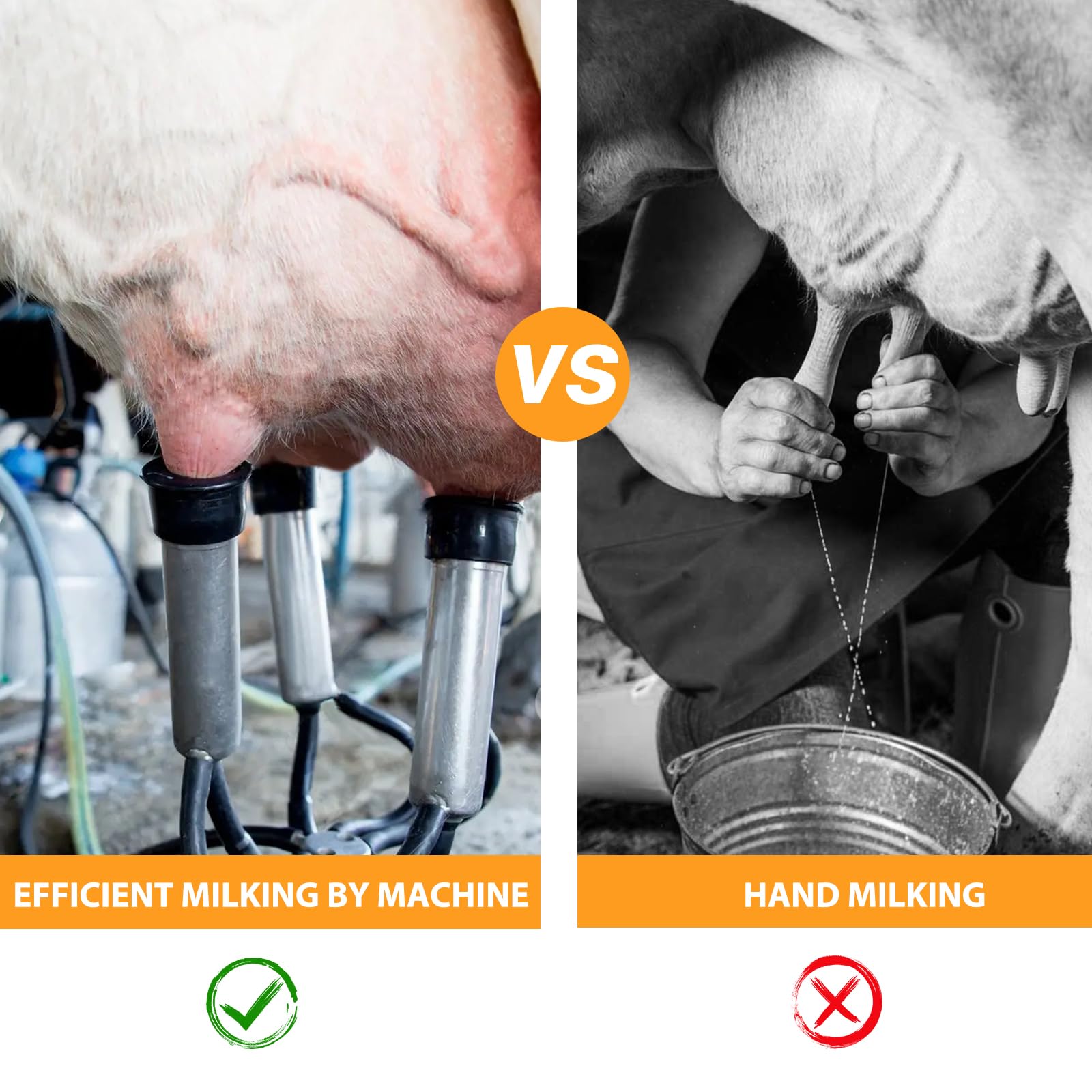 Snapklik.com : Electric Milking Machine 25L, 55KPA 15000 RPM Suction ...