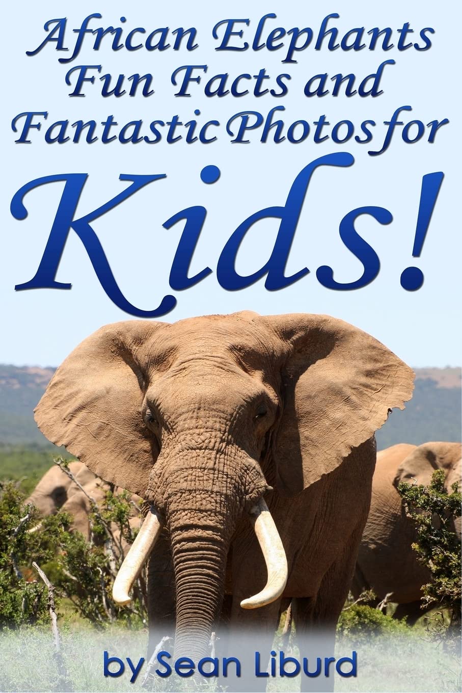 African Elephant Habitat For Kids