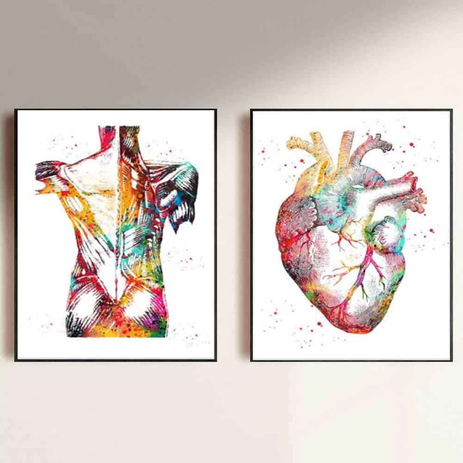Pintura De Anatomia Humana