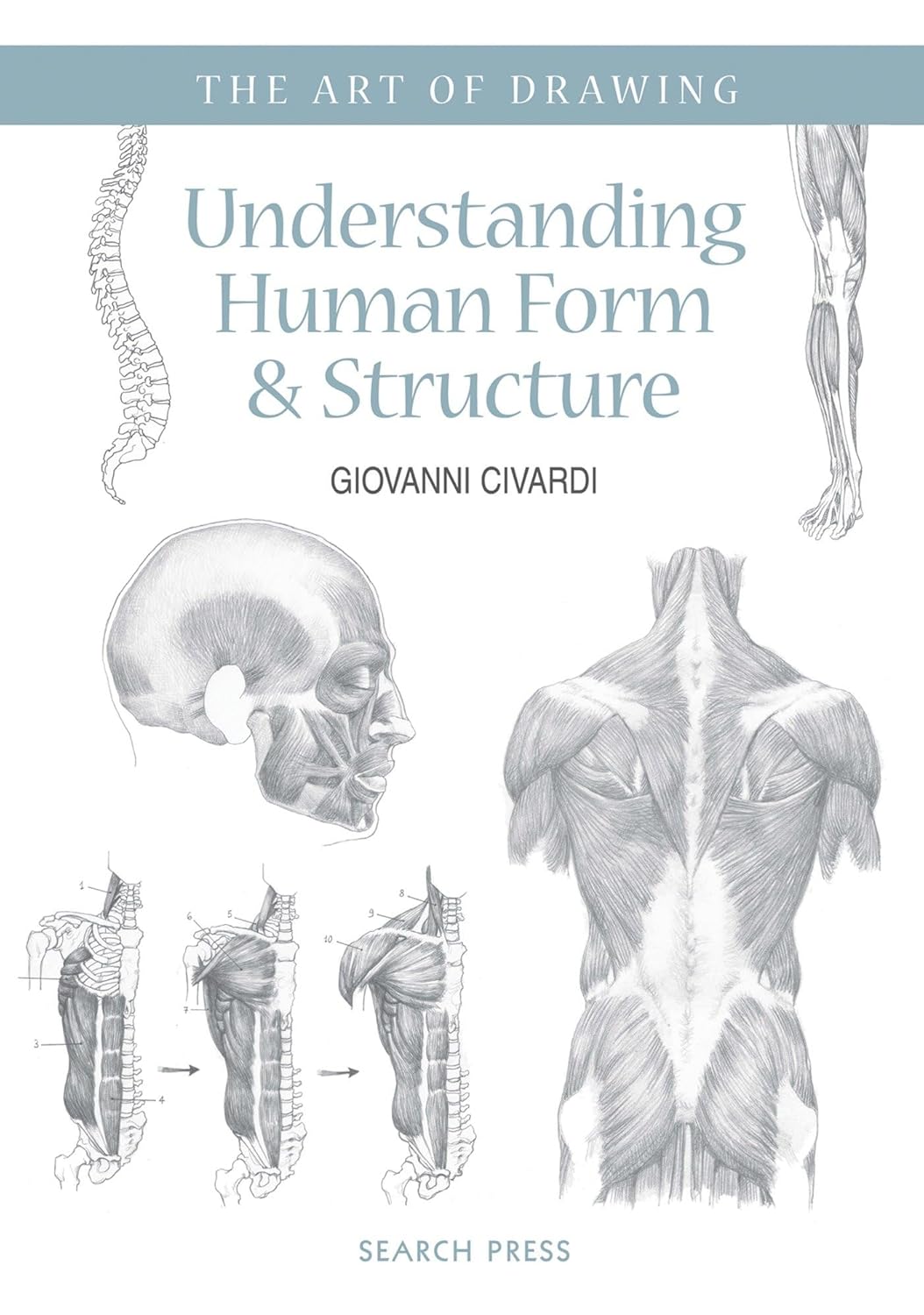 Buy Art of Drawing: Understanding Human Form & Structure Book Online at ...