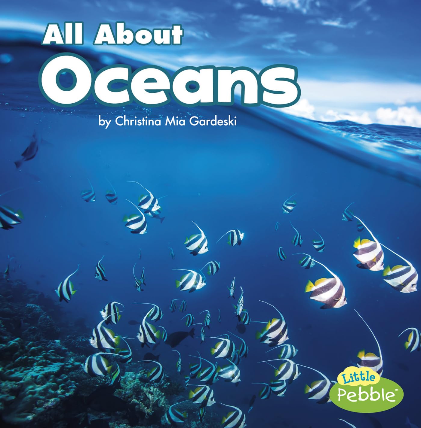 All About Oceans (Habitats): Gardeski, Christina Mia: 9781515776444 ...