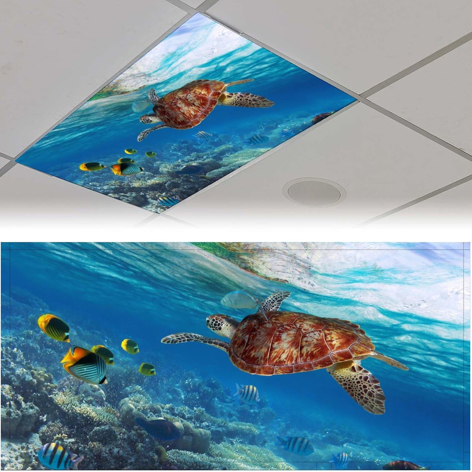 2Pcs Fluorescent Light Cover for Ceiling Light-Fish Turtle Magnetic ...