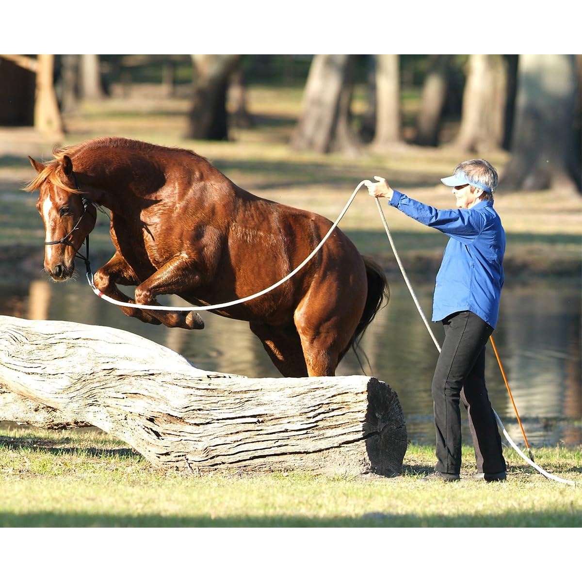 Nylon Horse Halters BLACK WITH BLUE TRACERS SOFT YACHT ROPE 2-KNOT PONY ...