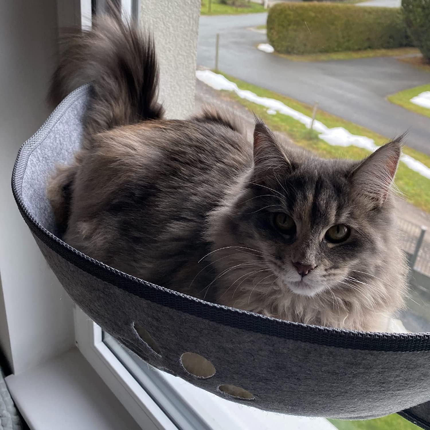 Aoresac Cat Window Hammock, Cat Window Bed Perch Sunny Seat Lounger ...