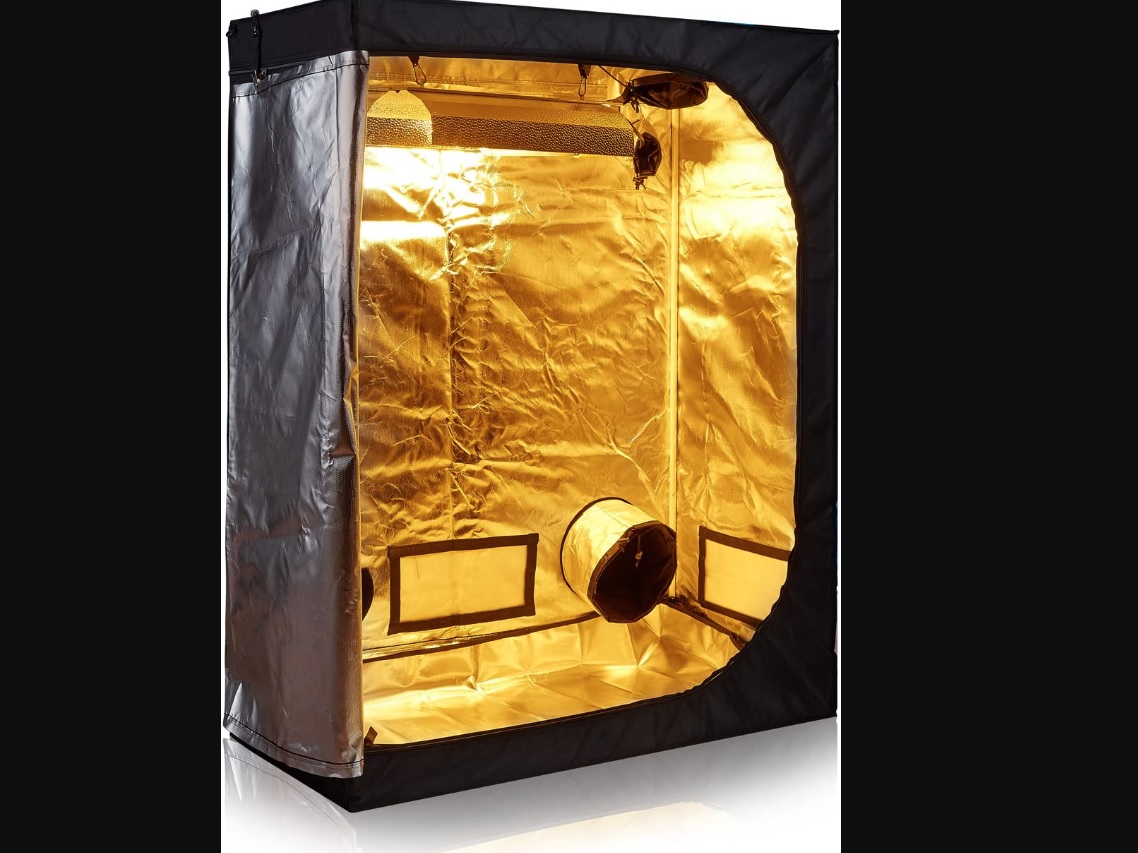 Kevin - Entertaining Entropy's Amazon Page