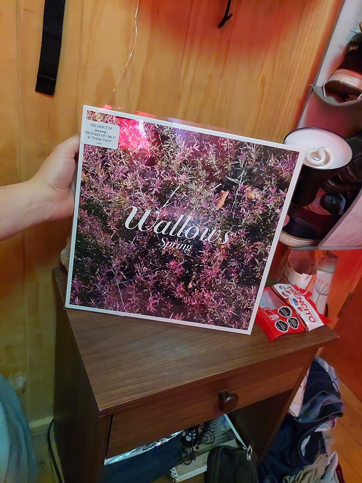 Wallows - Spring EP - Amazon.com Music