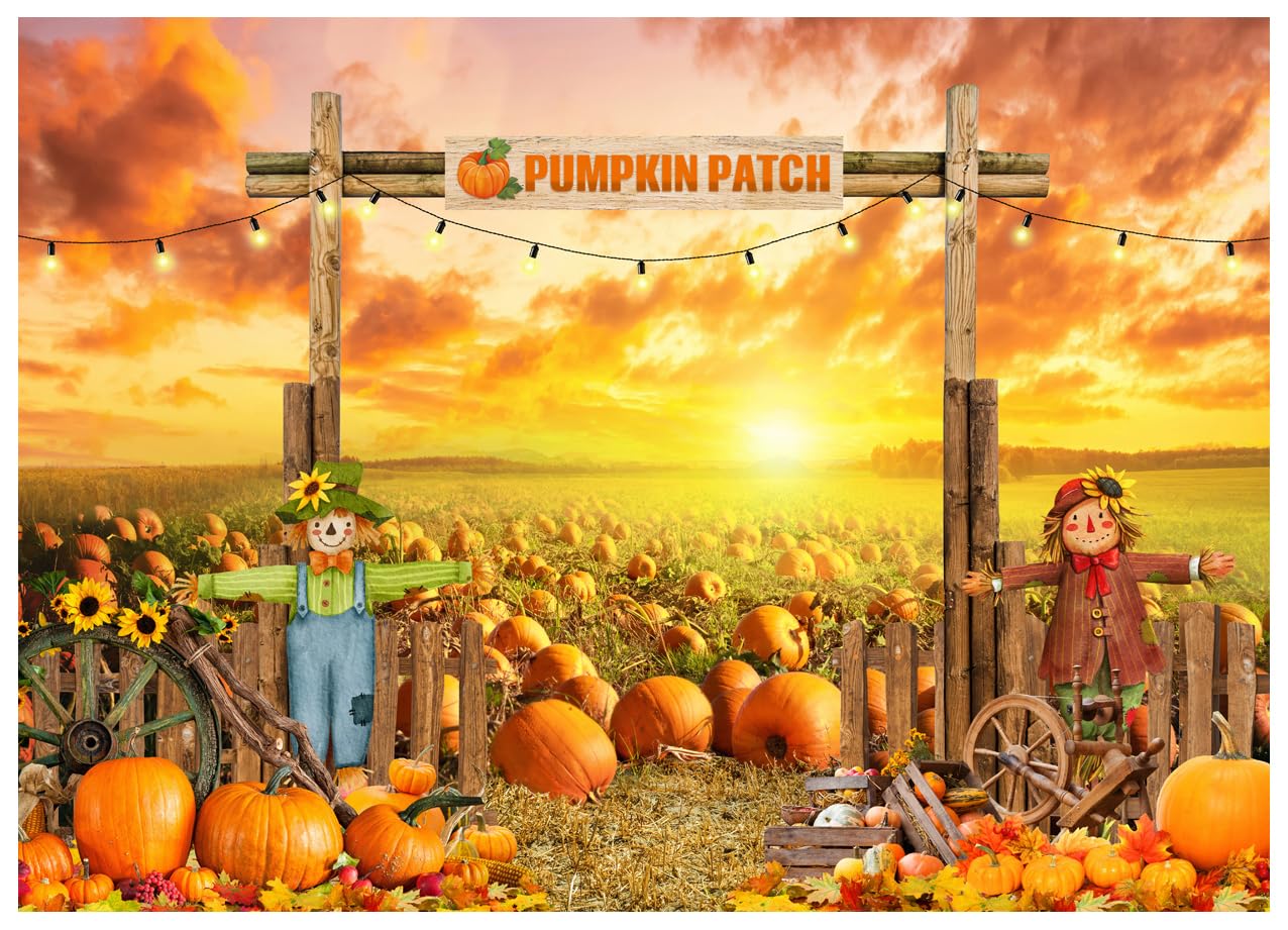 Amazon.com : WOLADA Pumpkin Patch Backdrop Farm Backdrop Fall Backdrop ...
