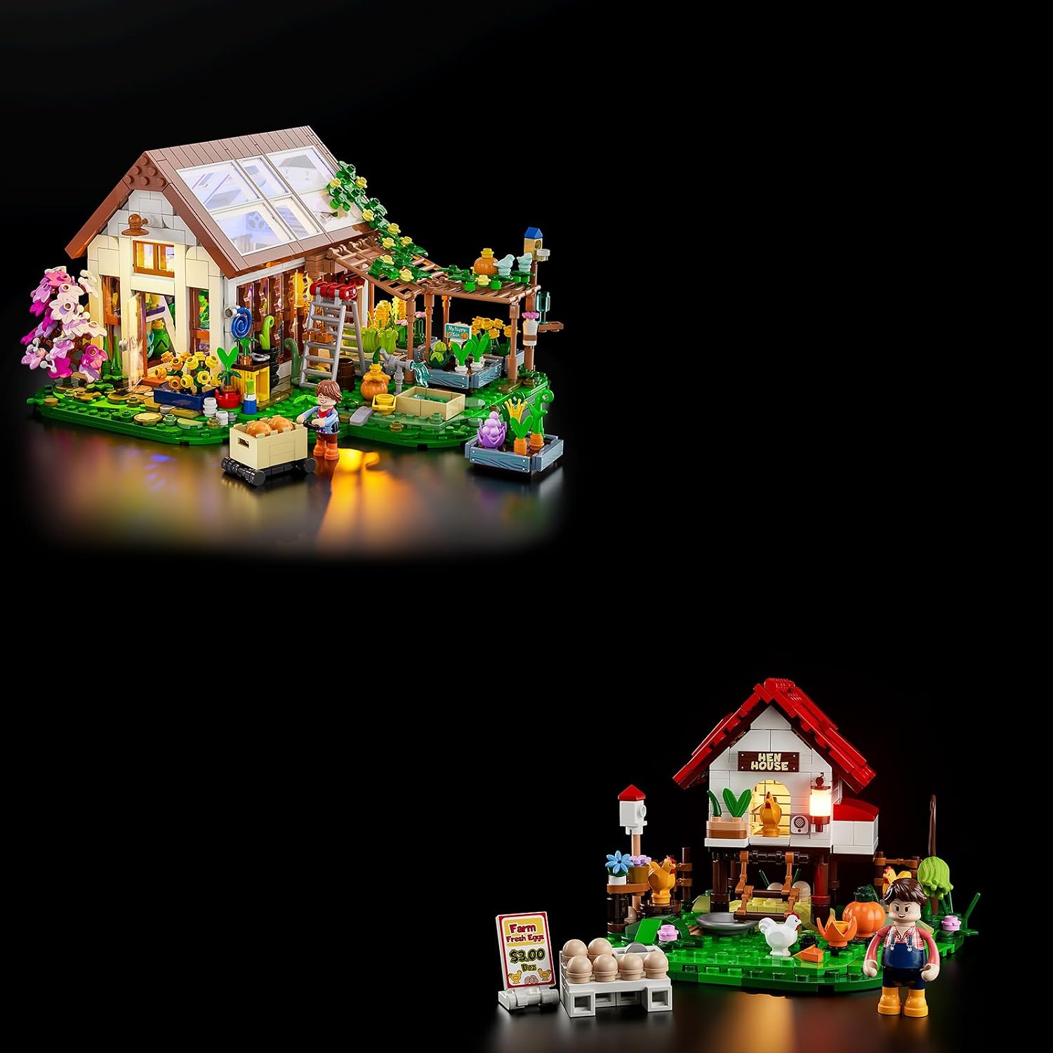 Amazon.com: FUNWHOLE Farm Hen-House and Botanical-Garden Greenhouse ...