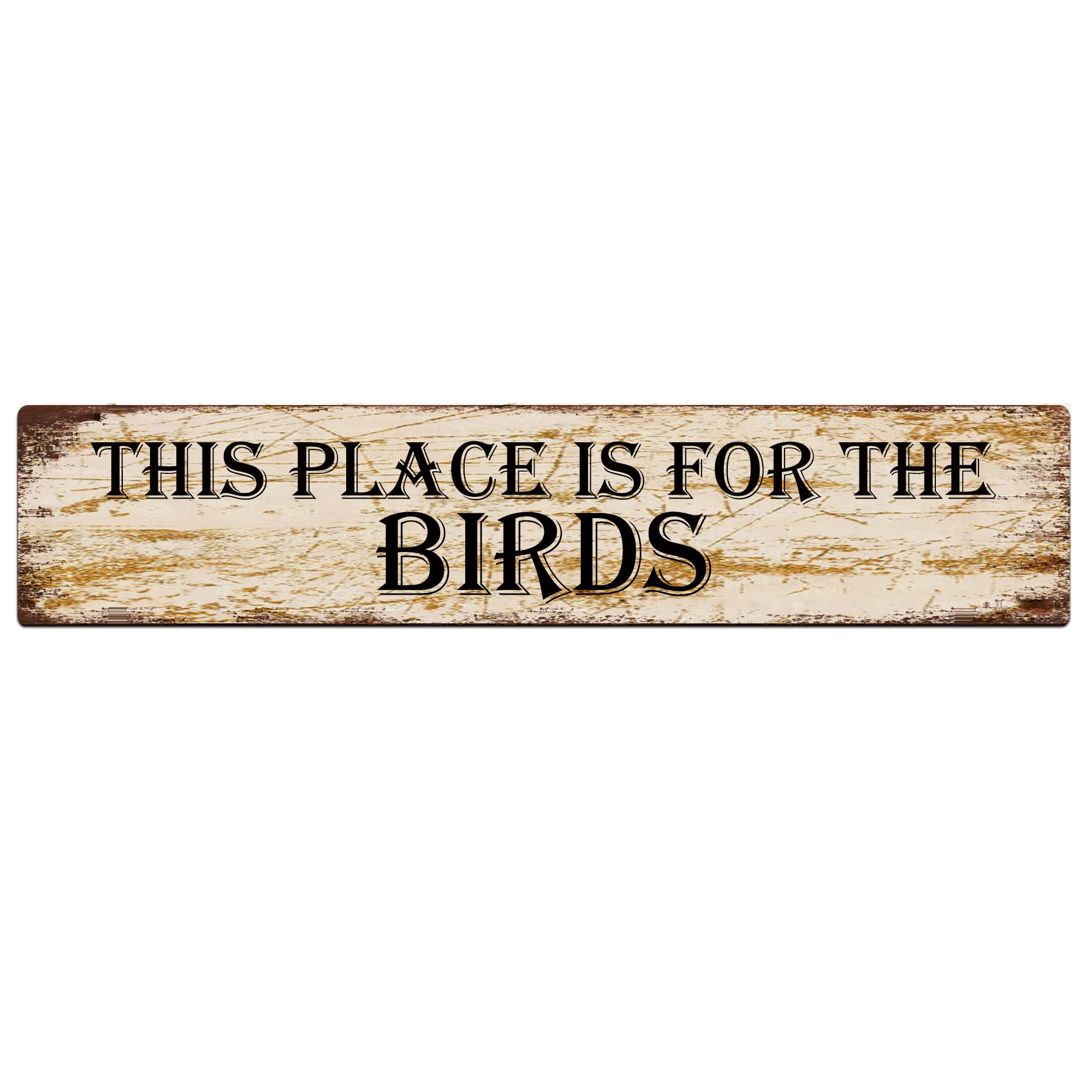 Amazon.com: snowsun Metal Sign This Place is for The Birds Vintage ...