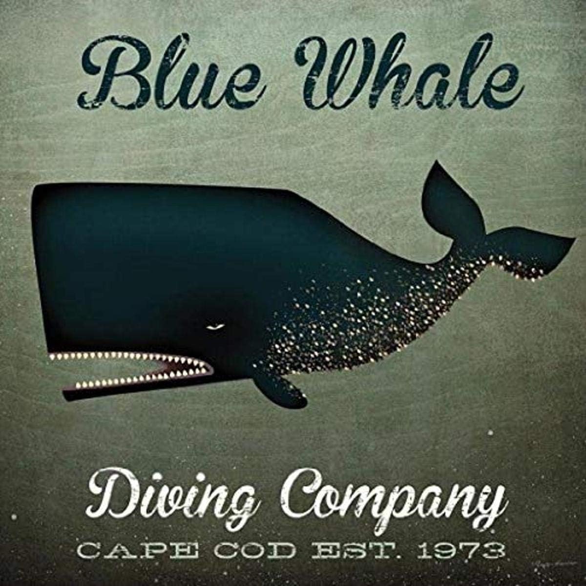 Buyartforless Blue Whale Diving Company Cape Cod Philippines | Ubuy