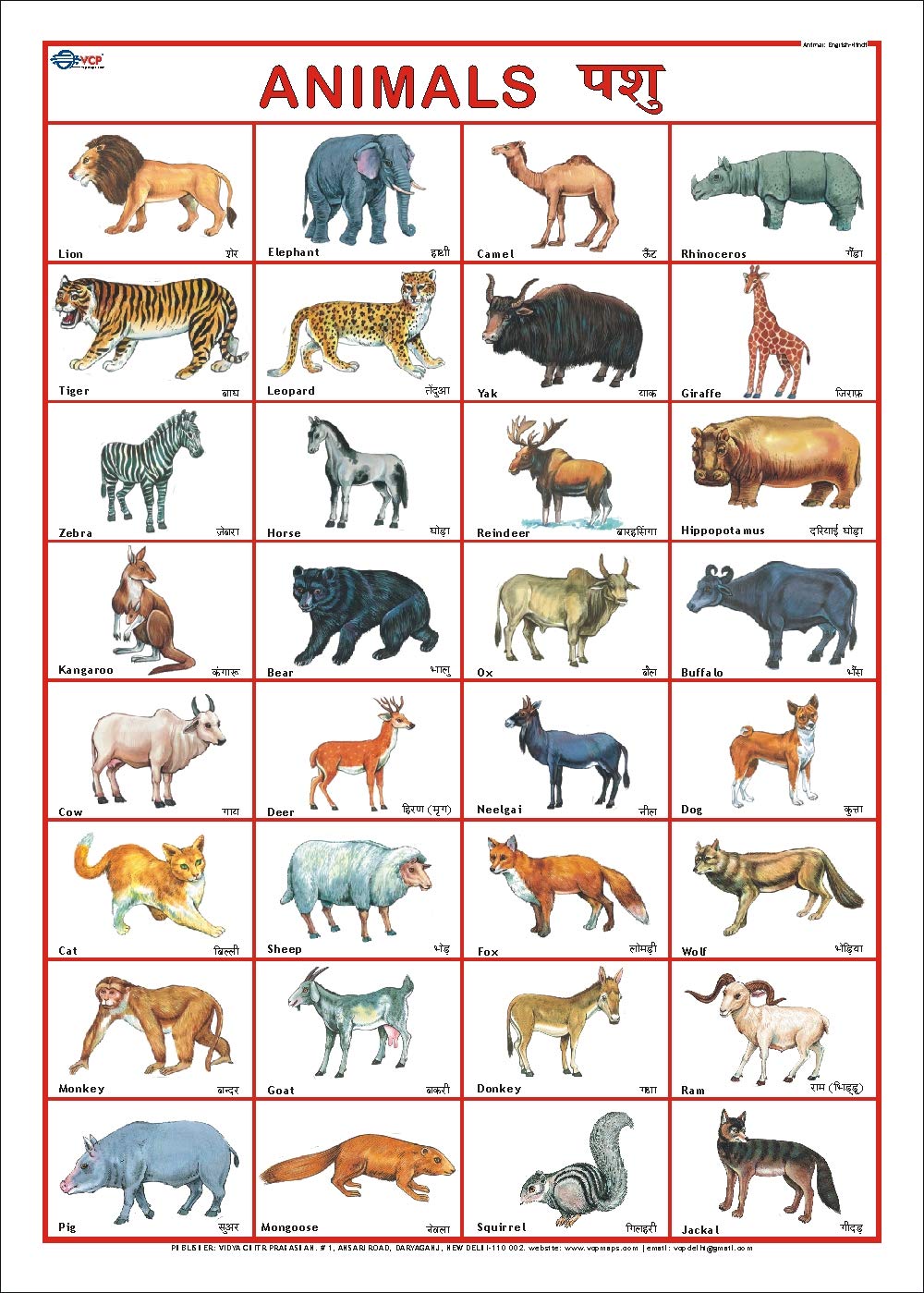 Buy Animals Chart (50 x 70 cm) Book Online at Low Prices in India ...