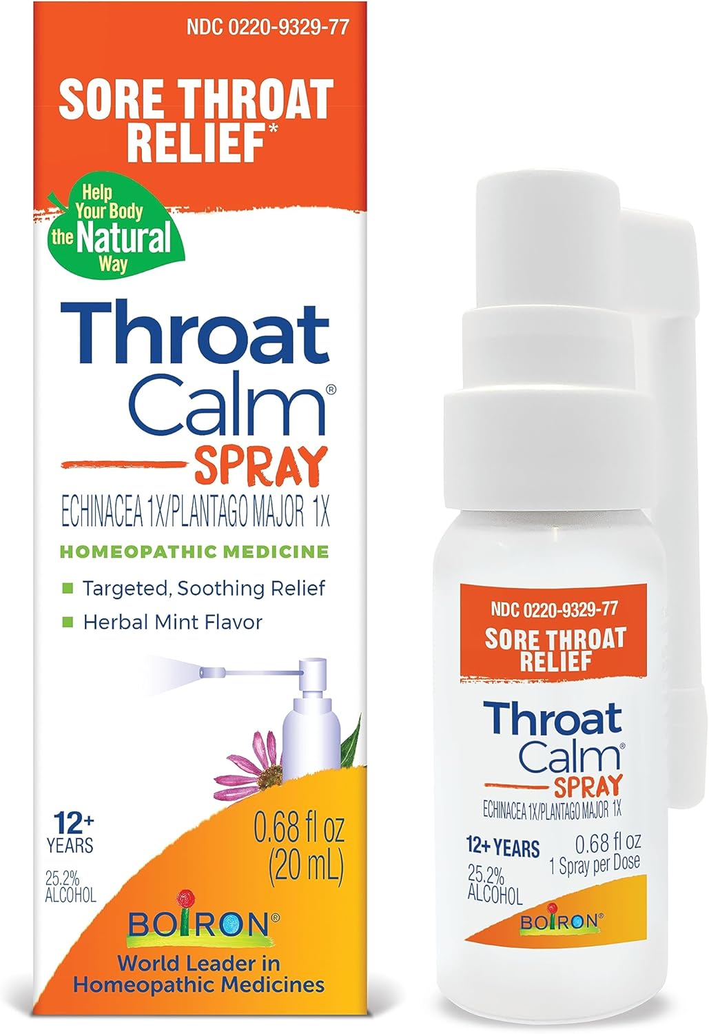 Amazon.com: Boiron ThroatCalm Spray for Soothing Sore Throat Relief ...