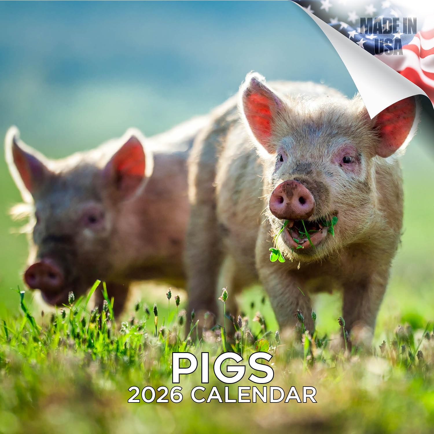 Snapklik.com : 2025 2026 Pigs Calendar - Cute Farm Animal Monthsly Wall ...