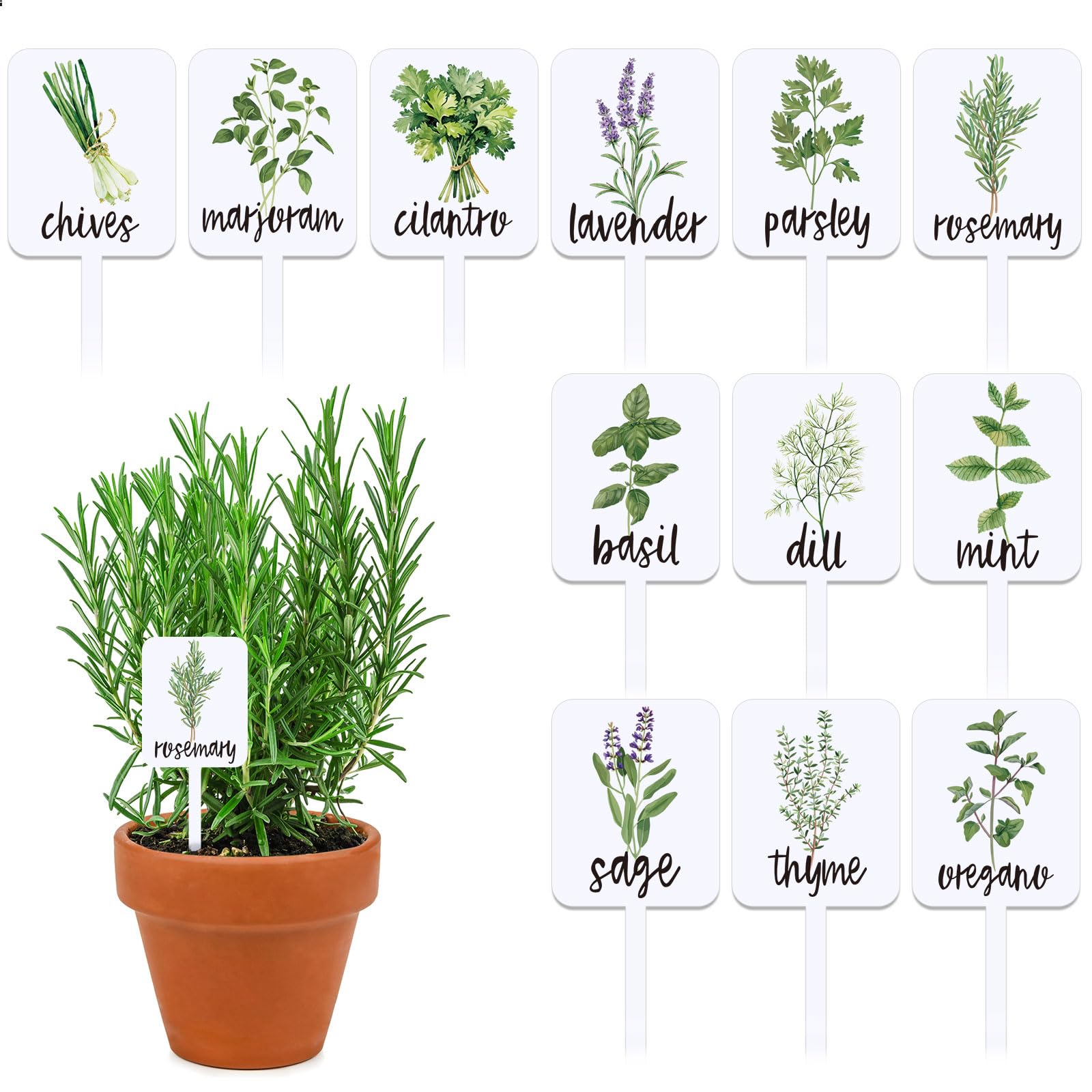 Amazon.com: Whaline 24Pcs Acrylic Plant Label Signs 12 Styles Planted ...