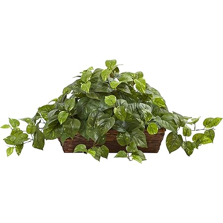 Amazon.com: Nearly Natural 12.5in. Puff Ivy with Ledge Basket Silk ...
