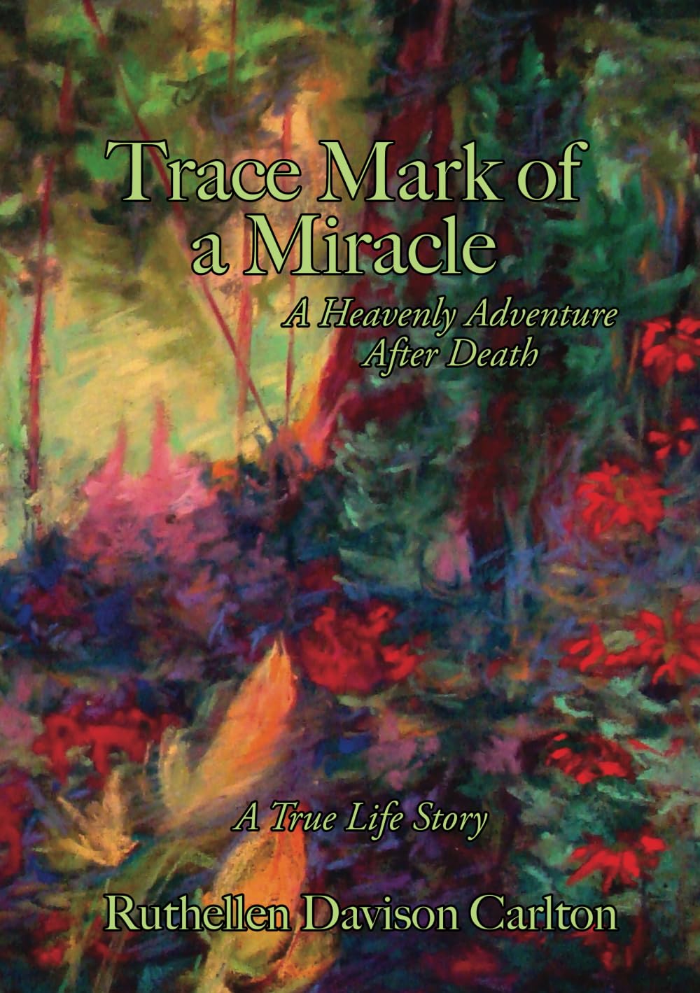 Amazon.com: Trace Mark of a Miracle: A Heavenly Adventure After Death ...