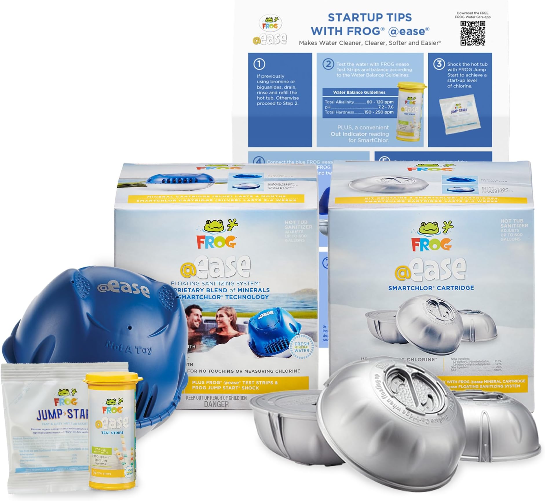 Amazon.com : FROG @Ease Sanitizing System for Swim Spas, The Only ...