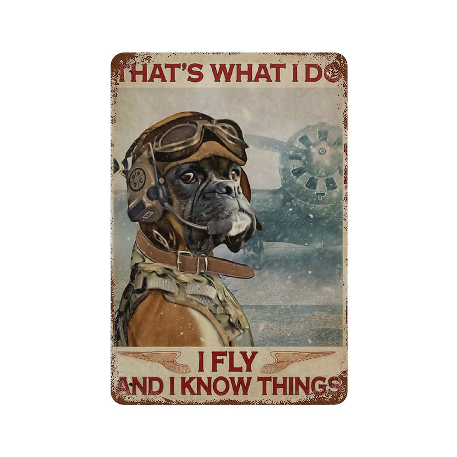 Funny Things That Fly