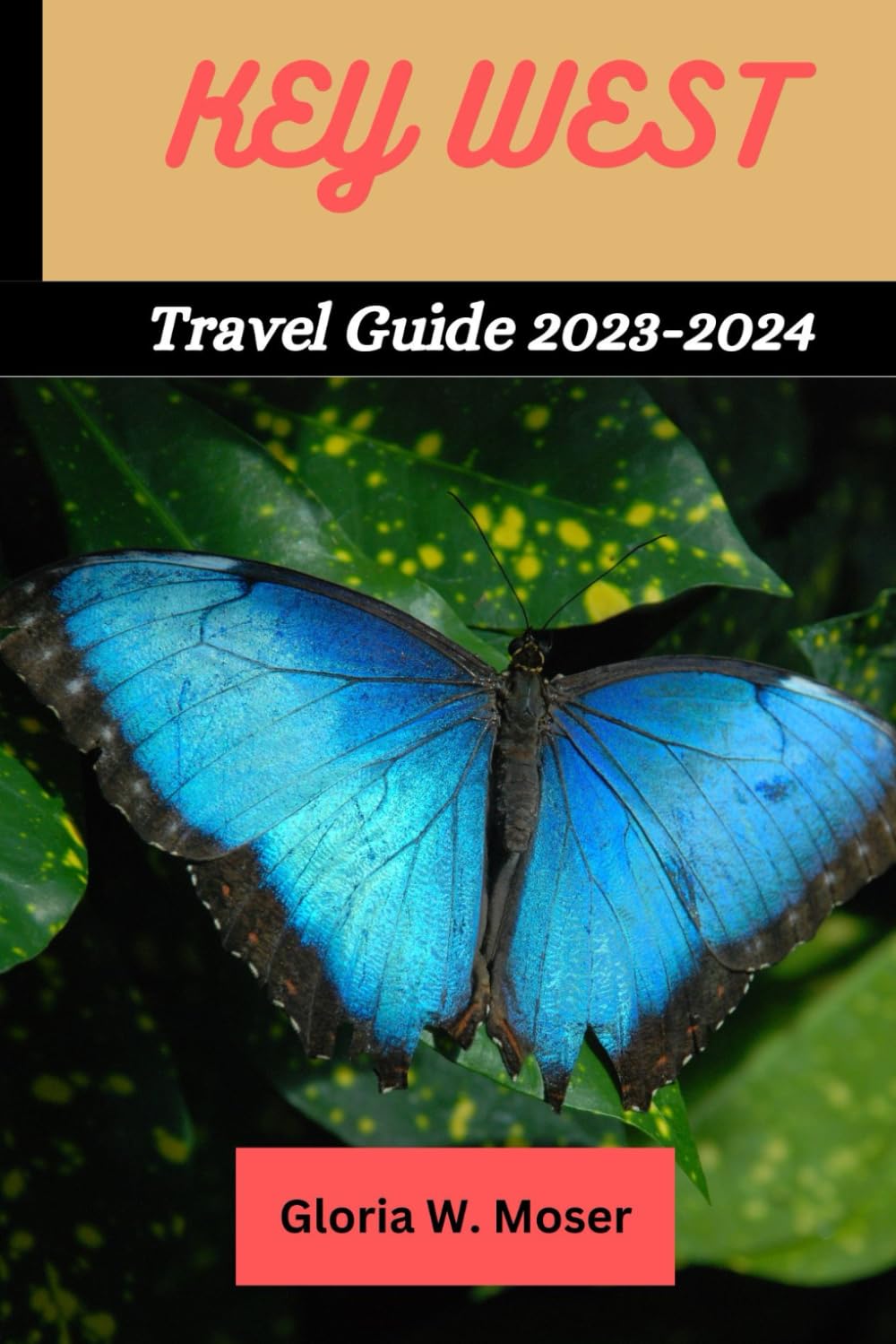key West Travel Guide 2023-2024: The comprehensive step-by-step tourist ...