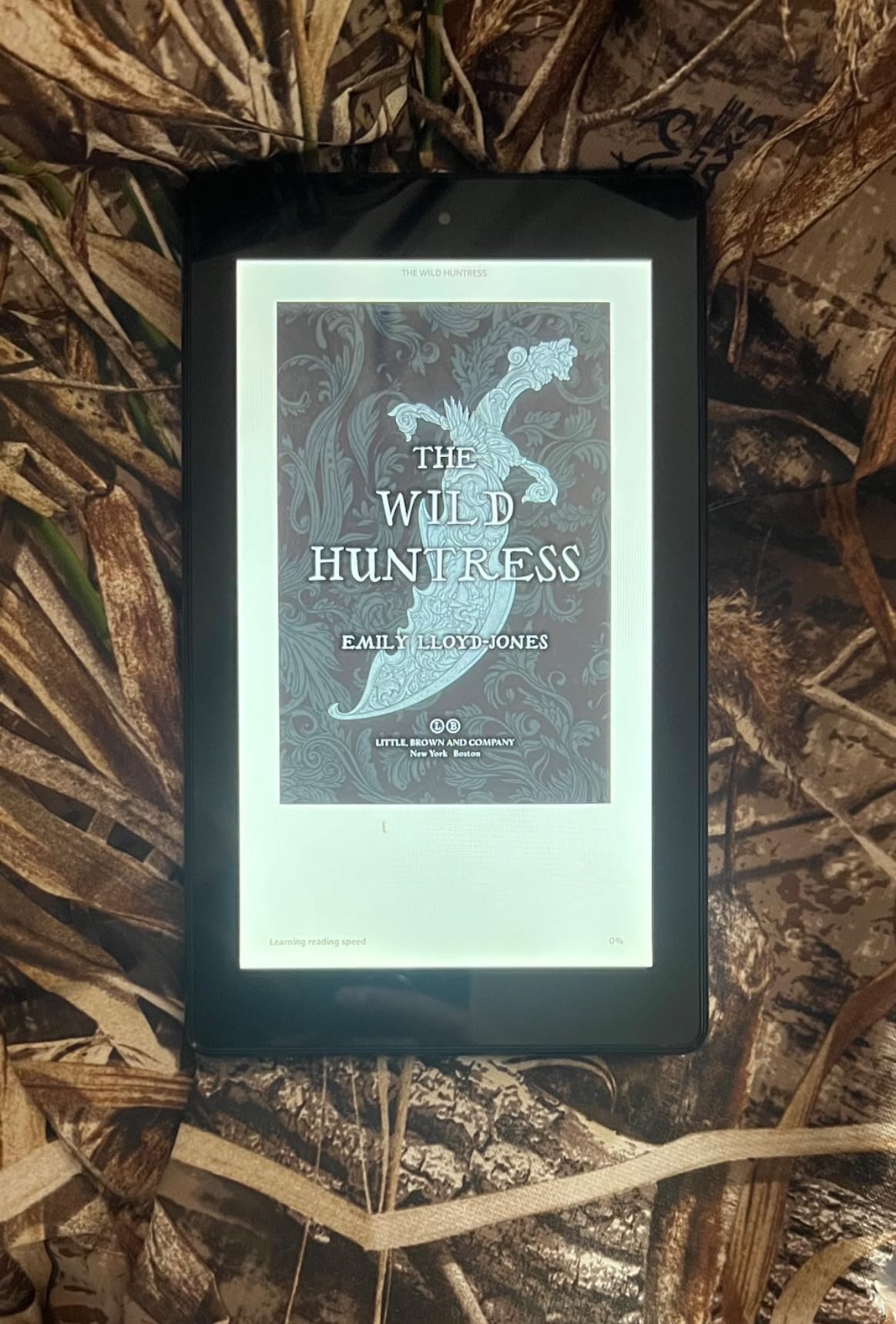 Amazon.com: The Wild Huntress: 9780316568142: Lloyd-Jones, Emily: Books