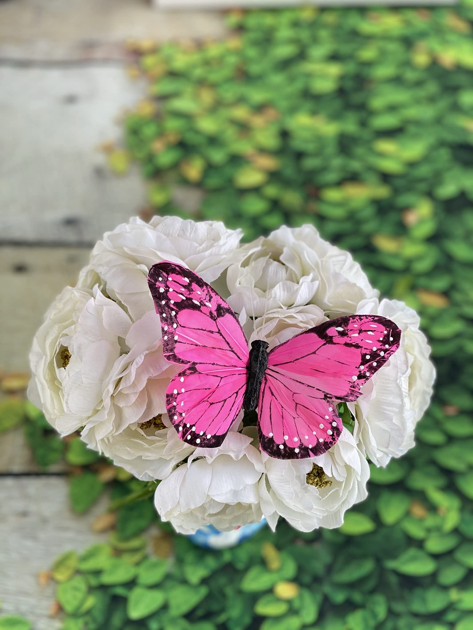 Mariposas De Colores Reales Sueño Gradiente Mariposa Imagen Real PNG