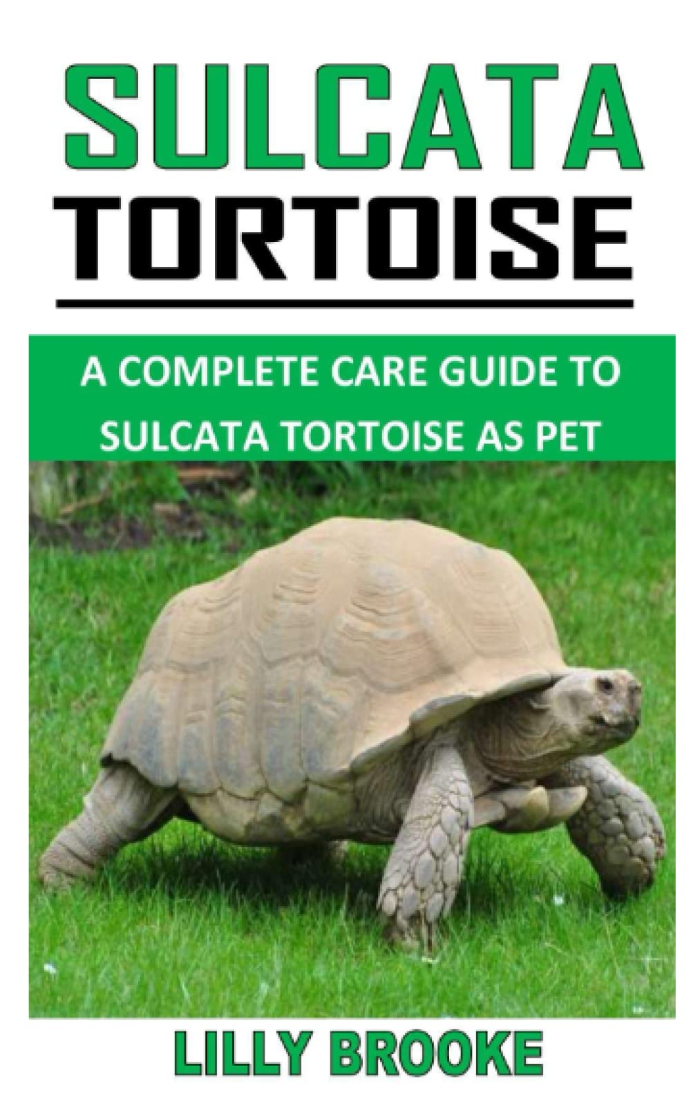 Buy SULCATA TORTOISE: A COMPLETE CARE GUIDE TO SULCATA TORTOISE AS PET ...