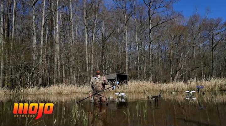 Watch MOJO Outdoors Extension Pole on Amazon Live