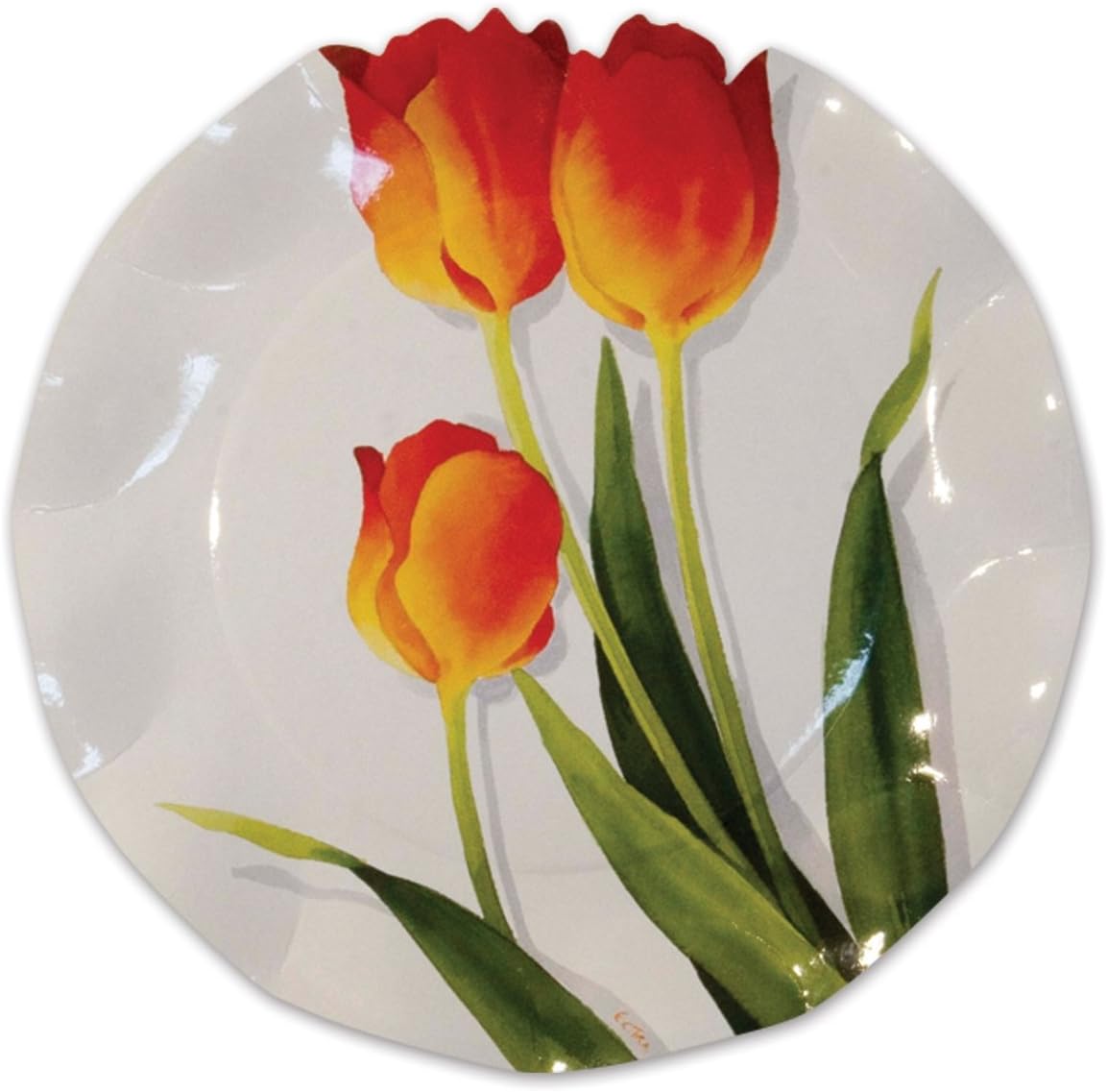 Amazon.com: Tulip Large Plates (10/Pkg) : Home & Kitchen