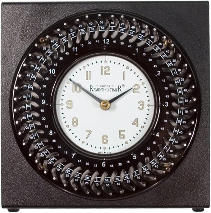 Amazon.com: Braille Remind-O-Timer : Health & Household