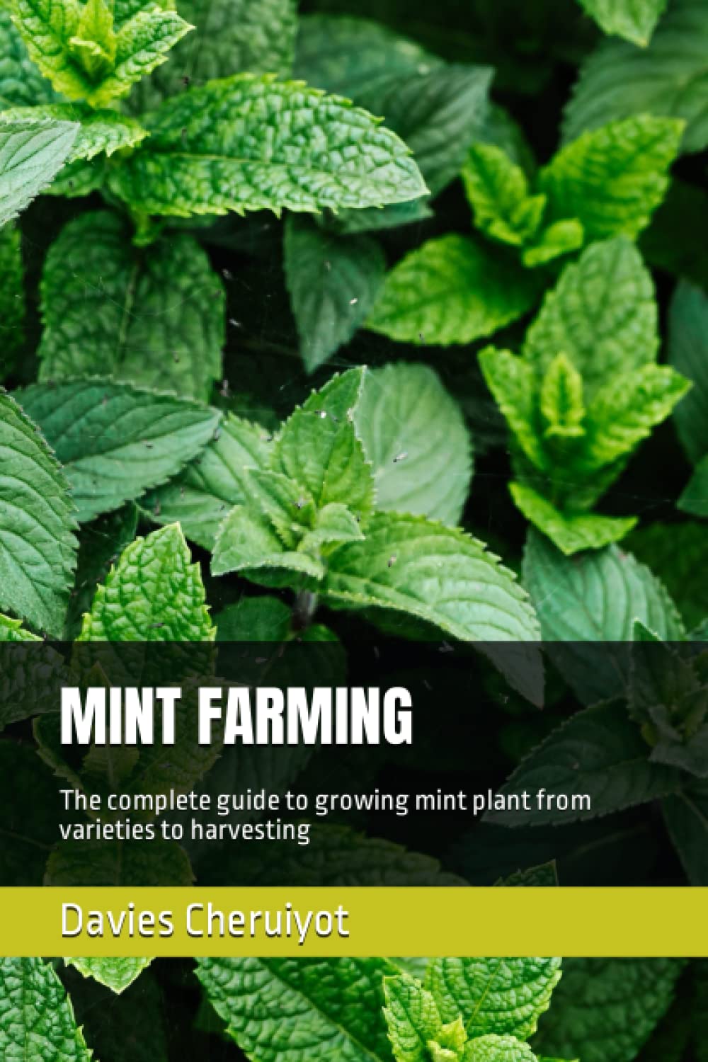 Amazon | MINT FARMING: The complete guide to growing mint plant from ...