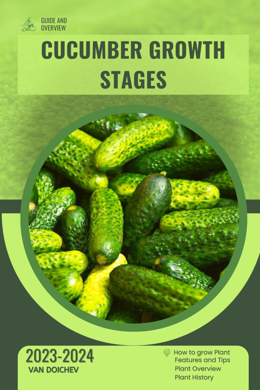 Cucumber Growing Stages
