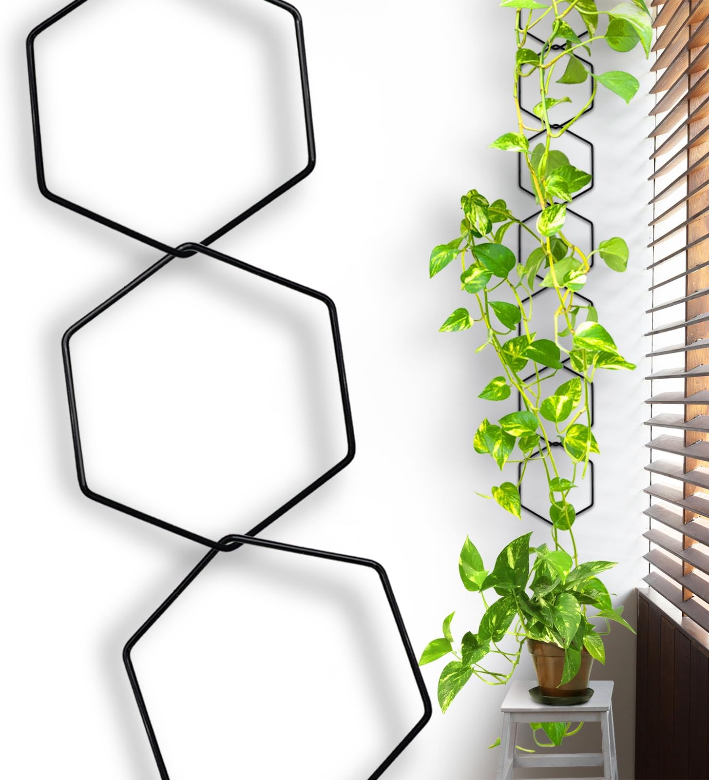 Amazon.com : Indoor Chain Trellis for Climbing Plants, 18 Pcs Indoor ...