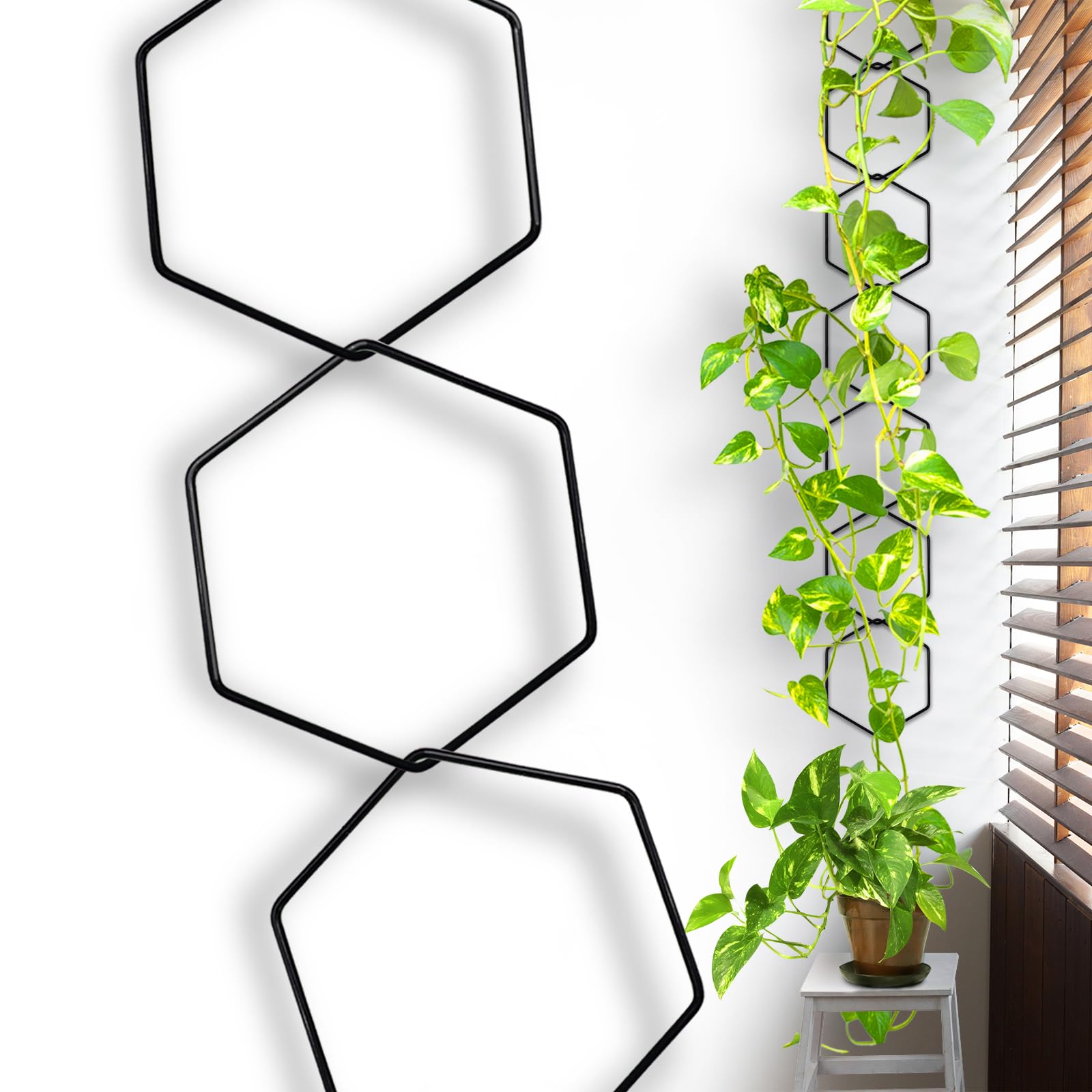 Amazon.com : Plant Trellis for Climbing Plants Indoor, 7.5(ft) L Chain ...