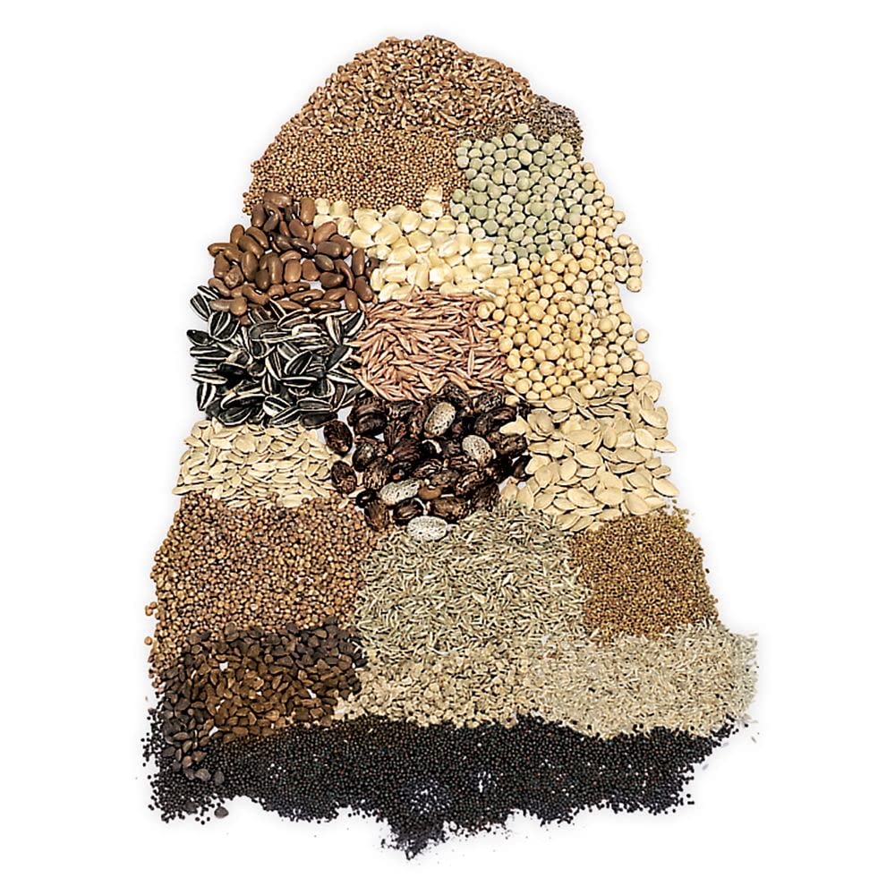 Amazon.com: General Seed Set : Industrial & Scientific