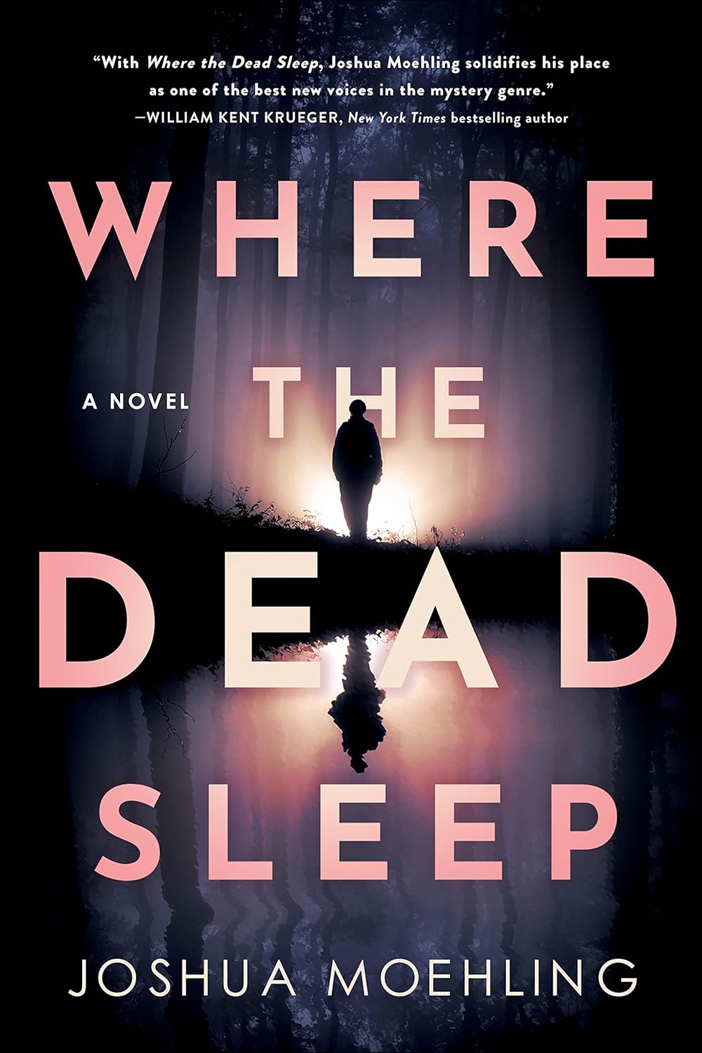 Amazon.com: Where the Dead Sleep: A Novel (Ben Packard, 2 ...