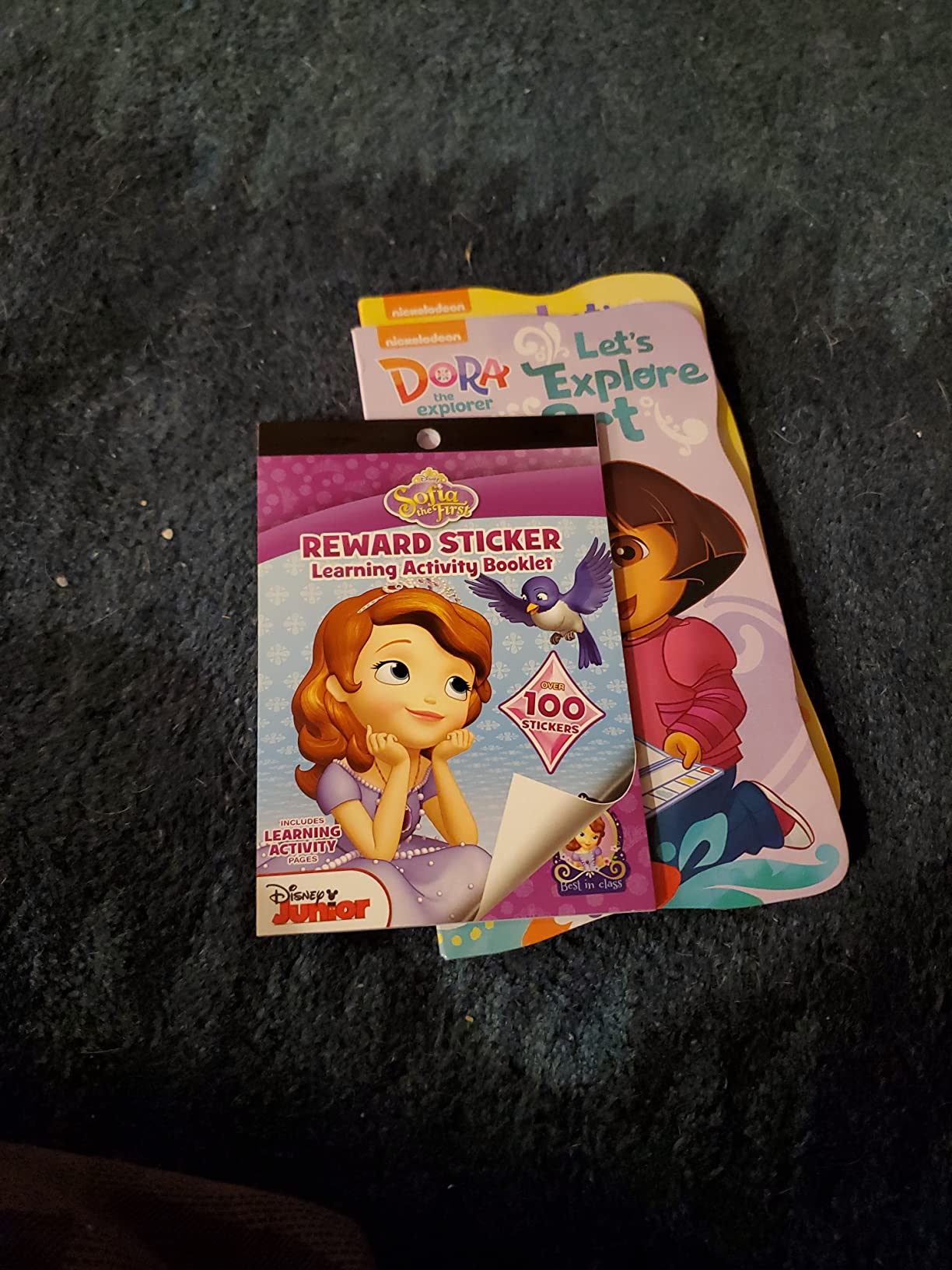 Amazon.com: Dora the Explorer Activity Pack ~ Coloring Book, Board Book ...