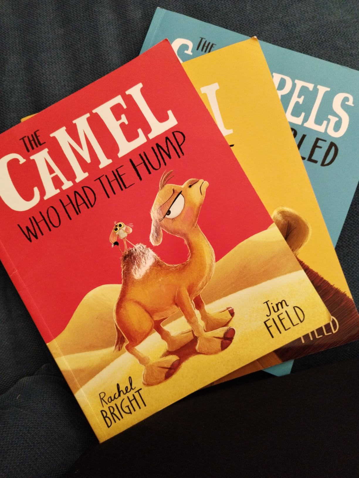 The Camel Who Had The Hump: From The World of Rachel Bright & Jim Field ...