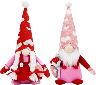 Amazon.com: Lucky Radish Valentines Day Gnomes Decor -13.5 in 2PCS Mr ...