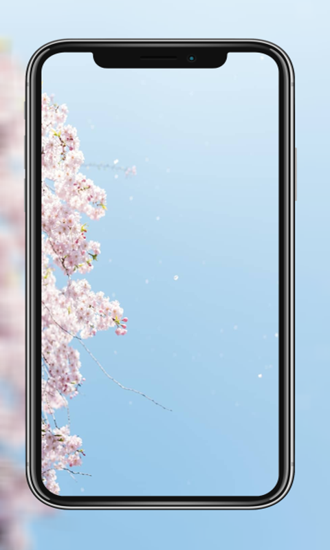 Sakura Flower Wallpapers - App on Amazon Appstore