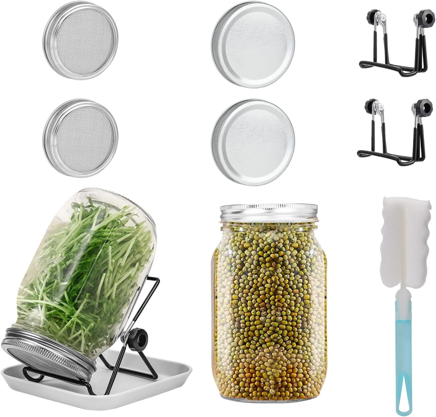 Buy Sprouting Kit, 2 Sprouting Jar Kit, Wide Mouth Quart Mason Jars ...