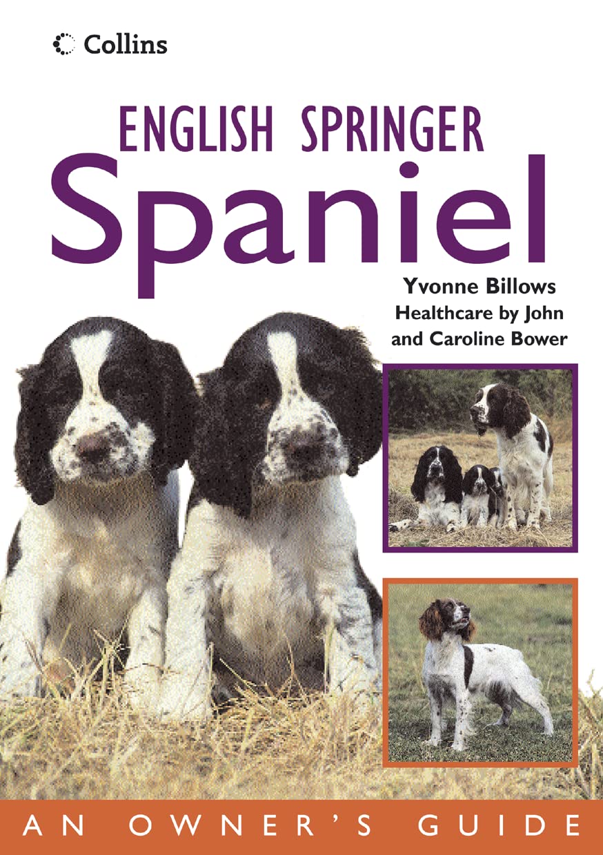 English Springer Spaniel (Collins Dog Owner’s Guide): Amazon.co.uk ...