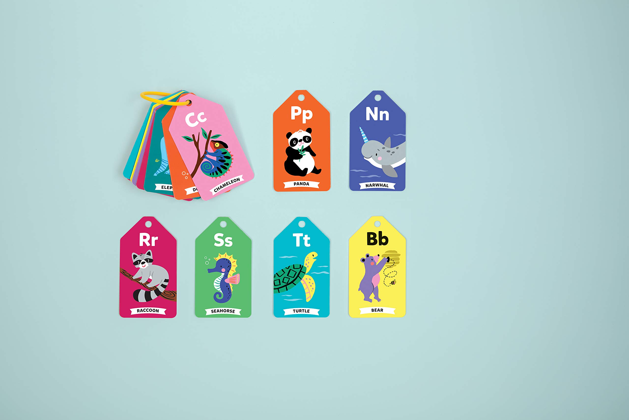 Snapklik.com : Mudpuppy Wildlife ABCs Ring Flash Cards For Kids - 26 ...