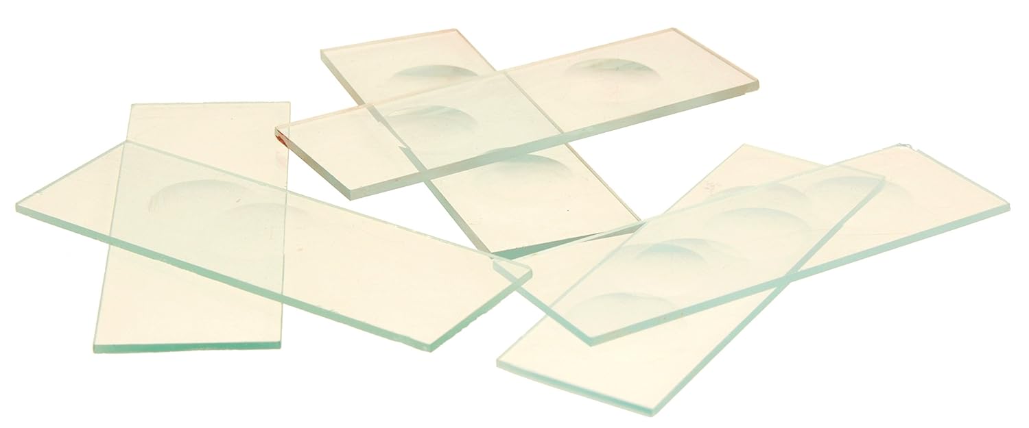 Eisco Labs Concavity Microscope Slides, Double Concavity, Pack of 50 ...